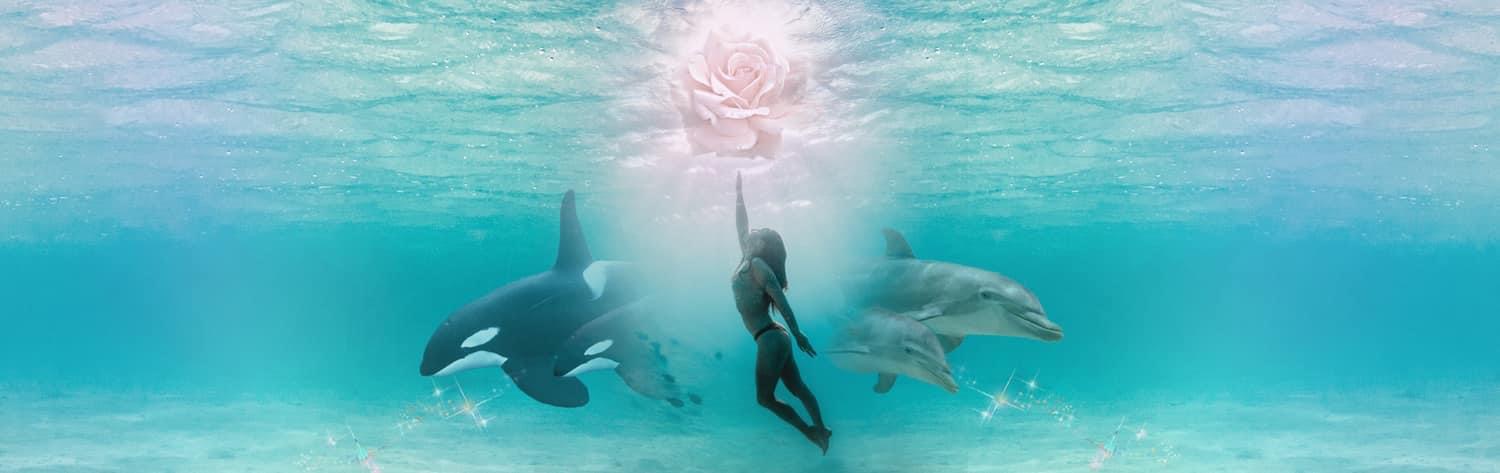 Events – Heart Flow ENERGY Medicine